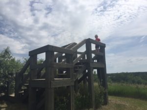 Rochon Sands Provincial Park: Review