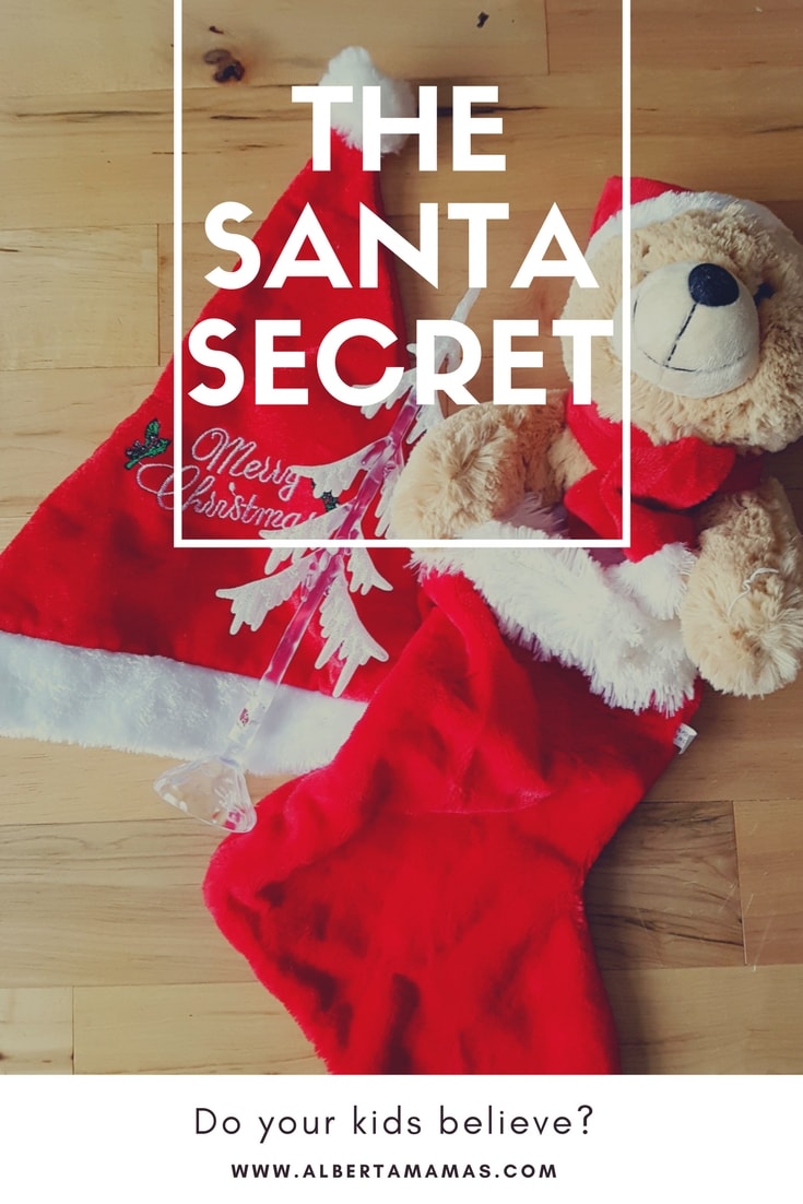 The Santa Secret