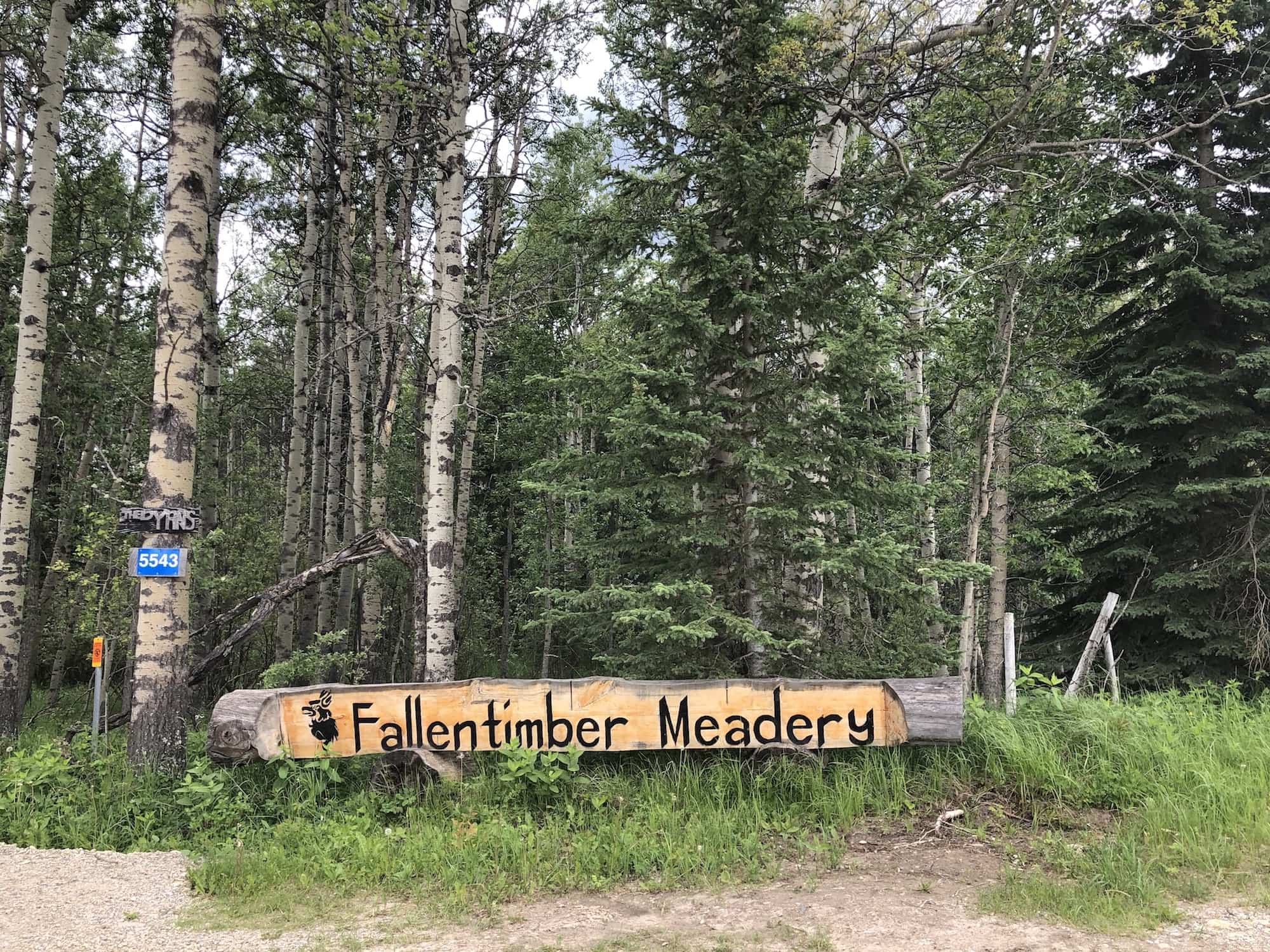 Fallen Timber Meadery - Road Trip in The Ford EcoSport