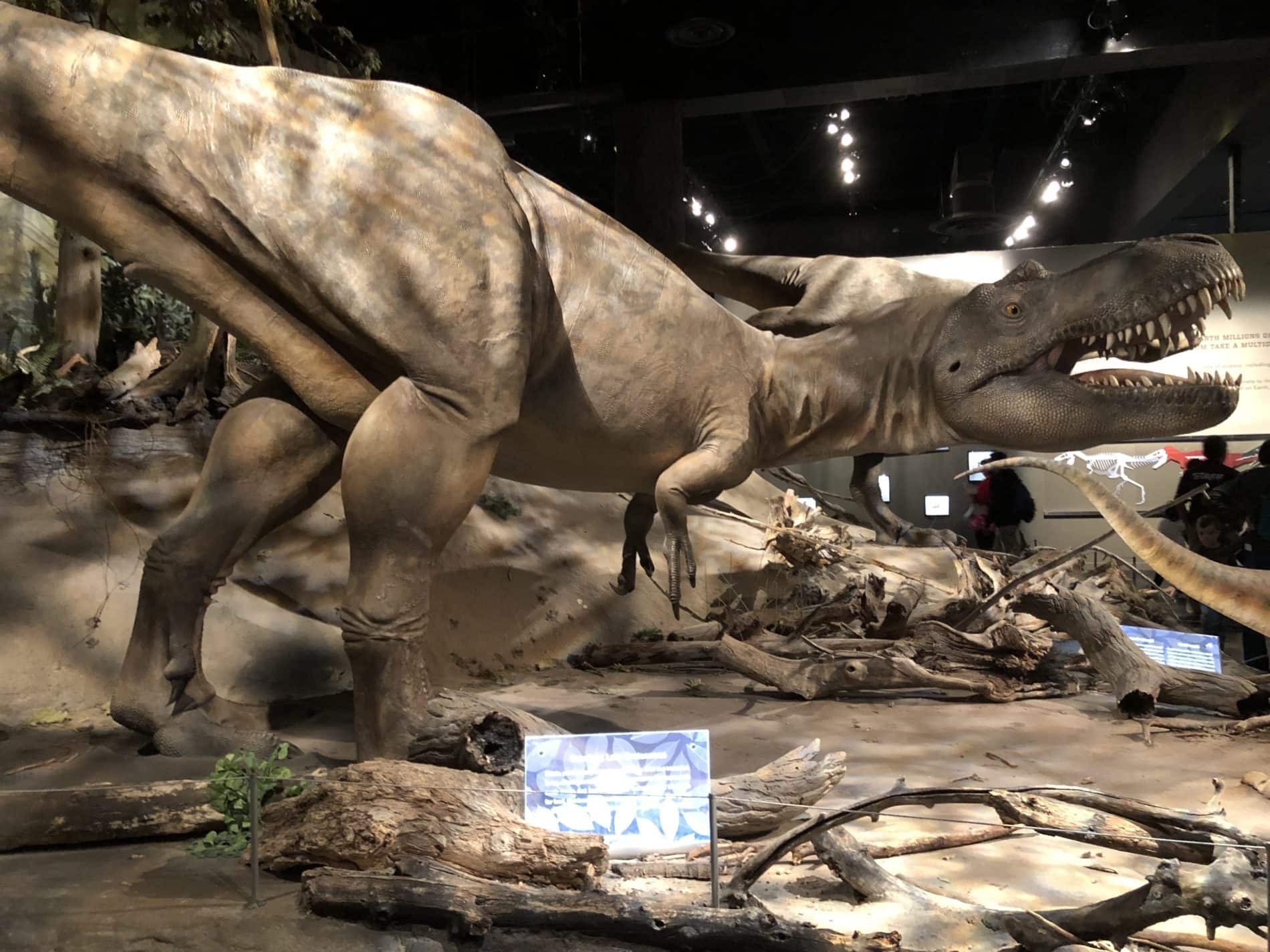Book Your Sleepover With Dinosaurs At The Royal Tyrrell Museum