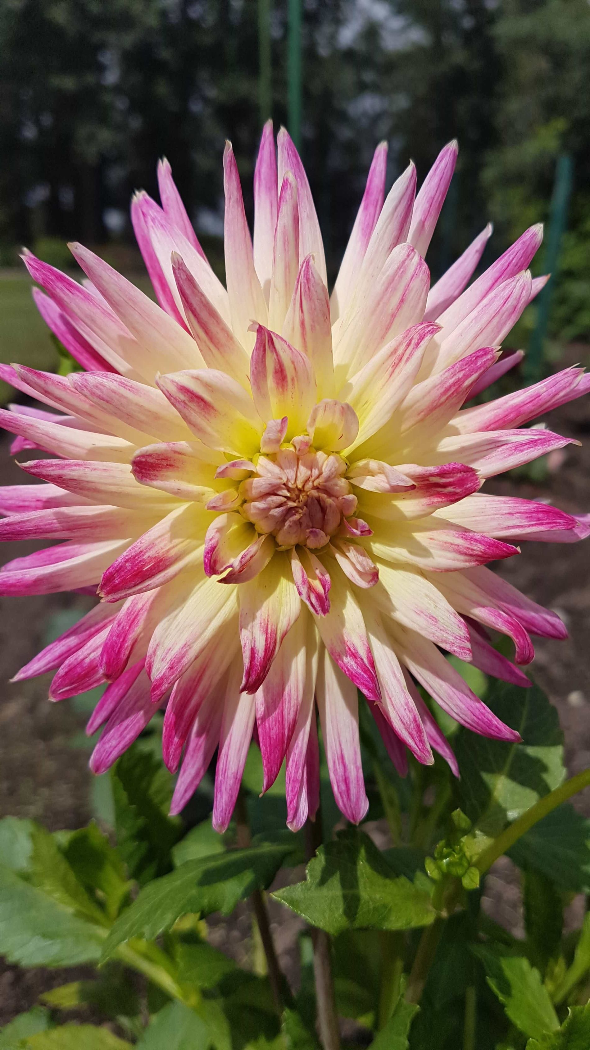 5 Reasons We Love The St. Albert Botanic Park