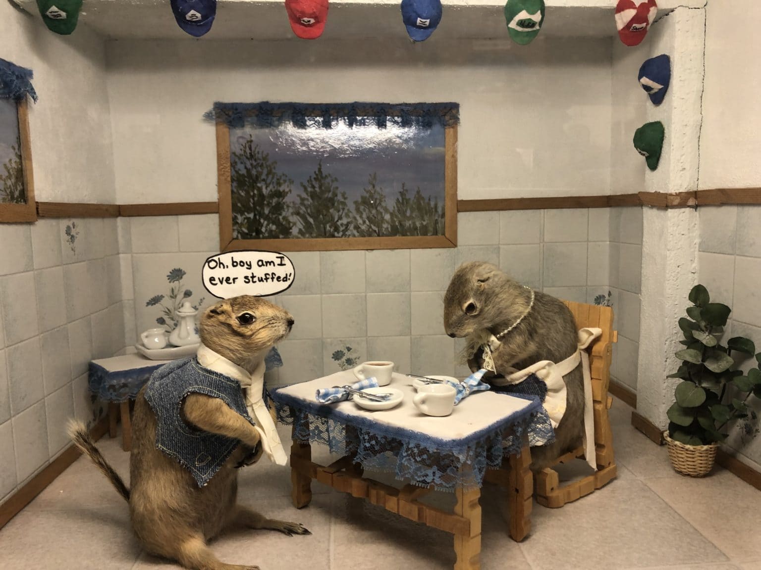 Visiting the Gopher Hole Museum in Torrington