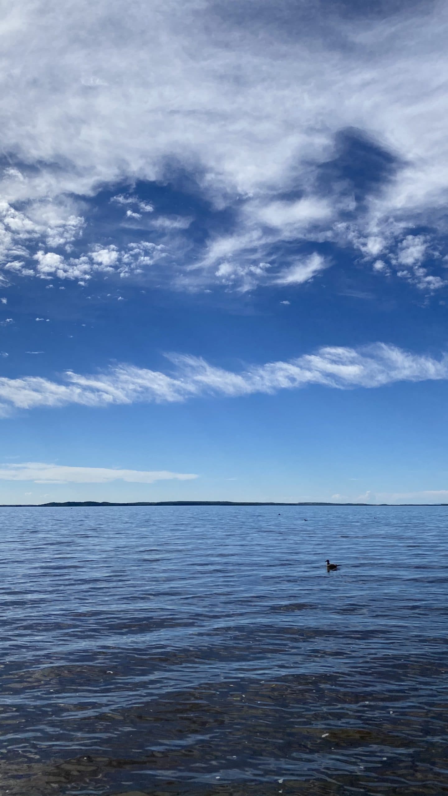 Discovering Chip Lake, Alberta