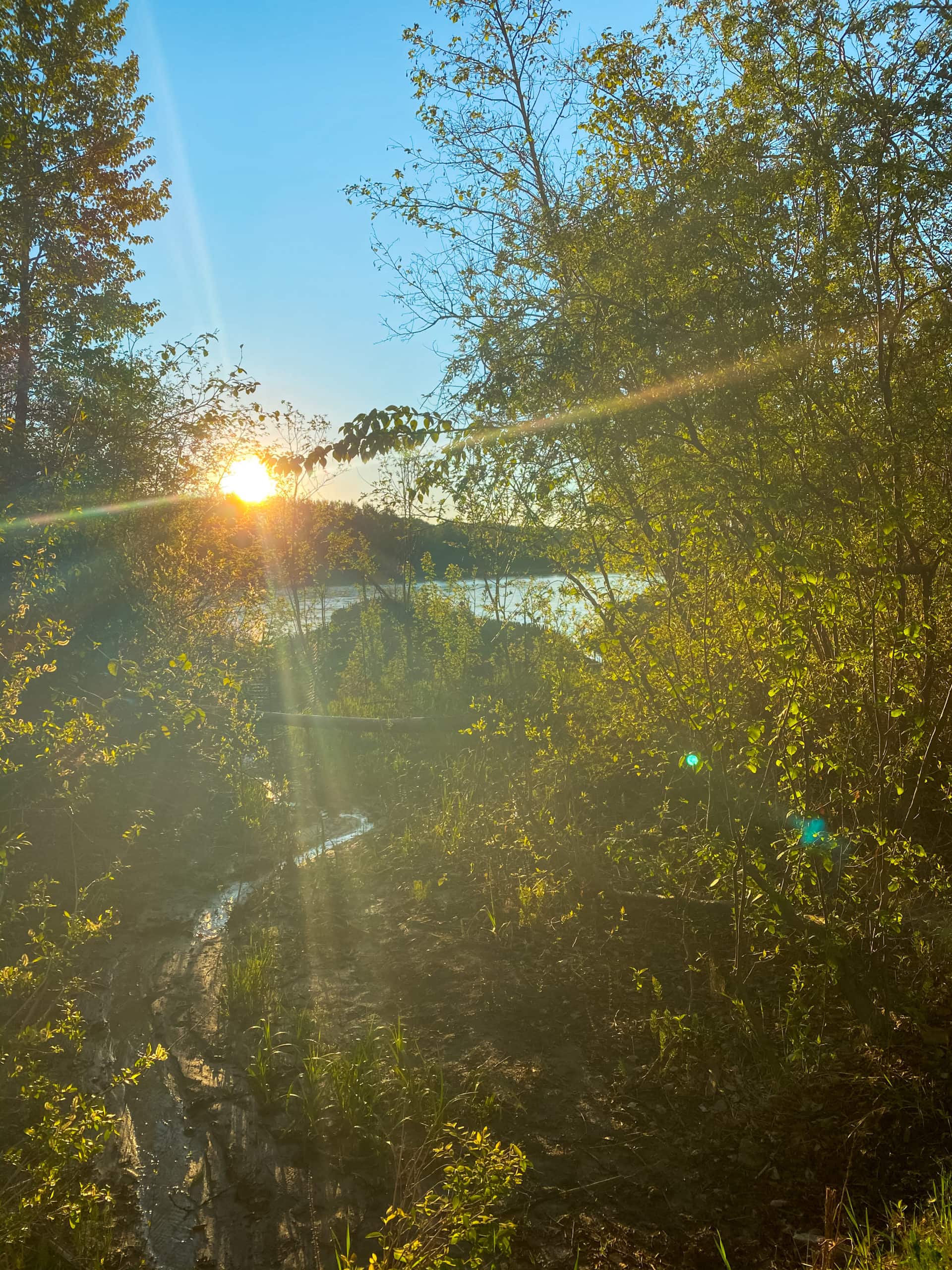 Devon River Valley Trail - Voyageur Park