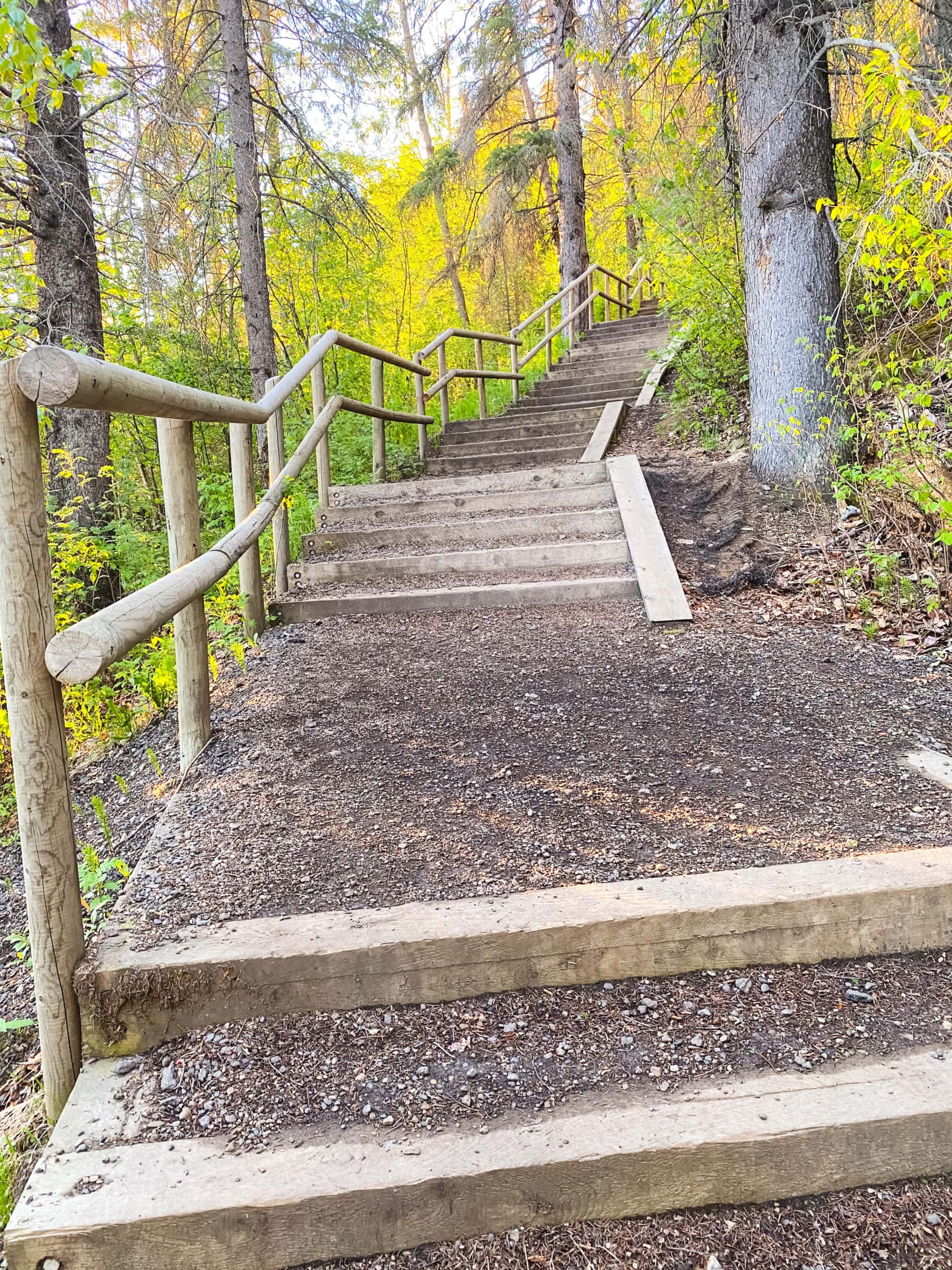 Devon River Valley Trail - Voyageur Park