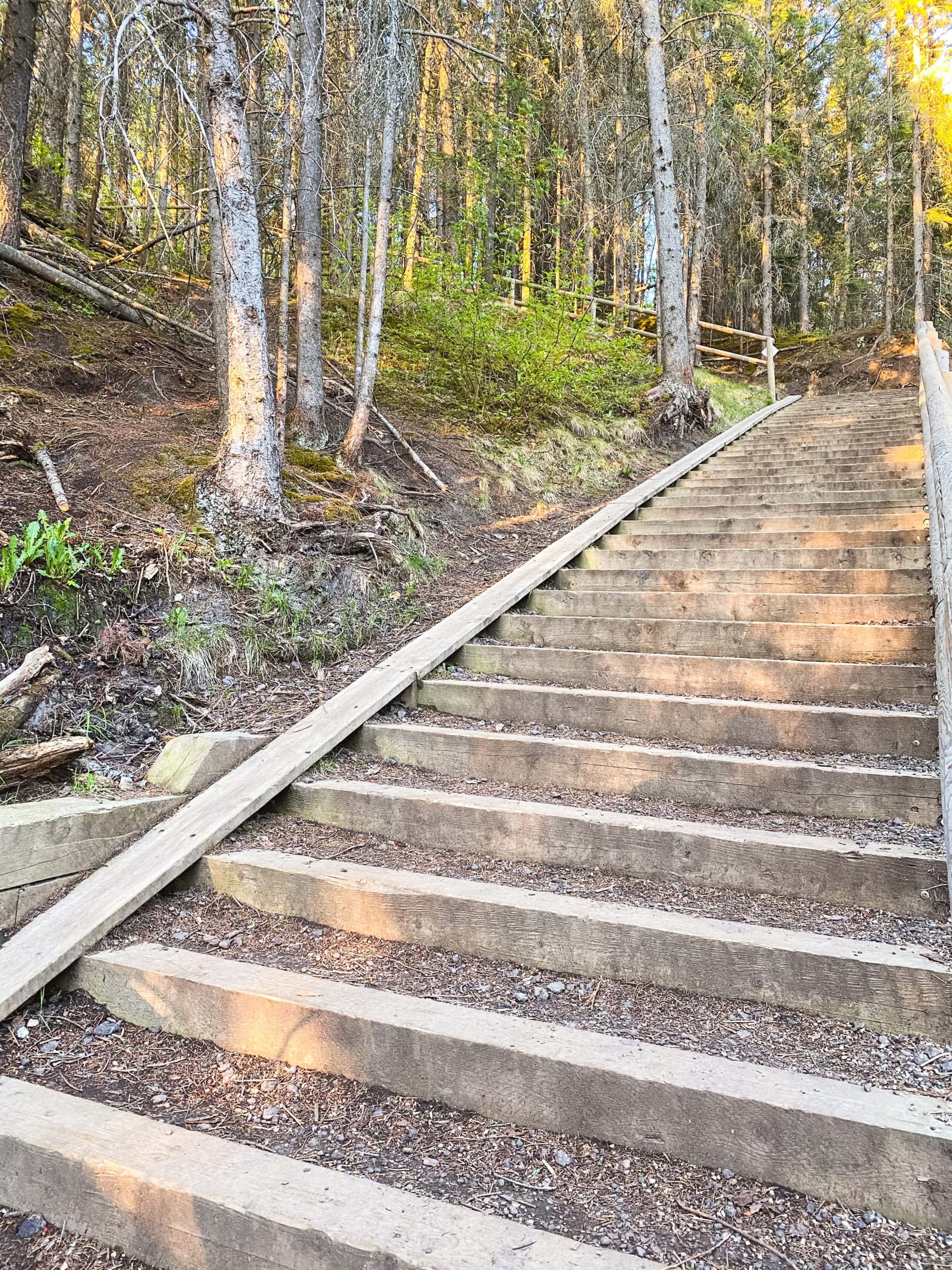Devon River Valley Trail - Voyageur Park