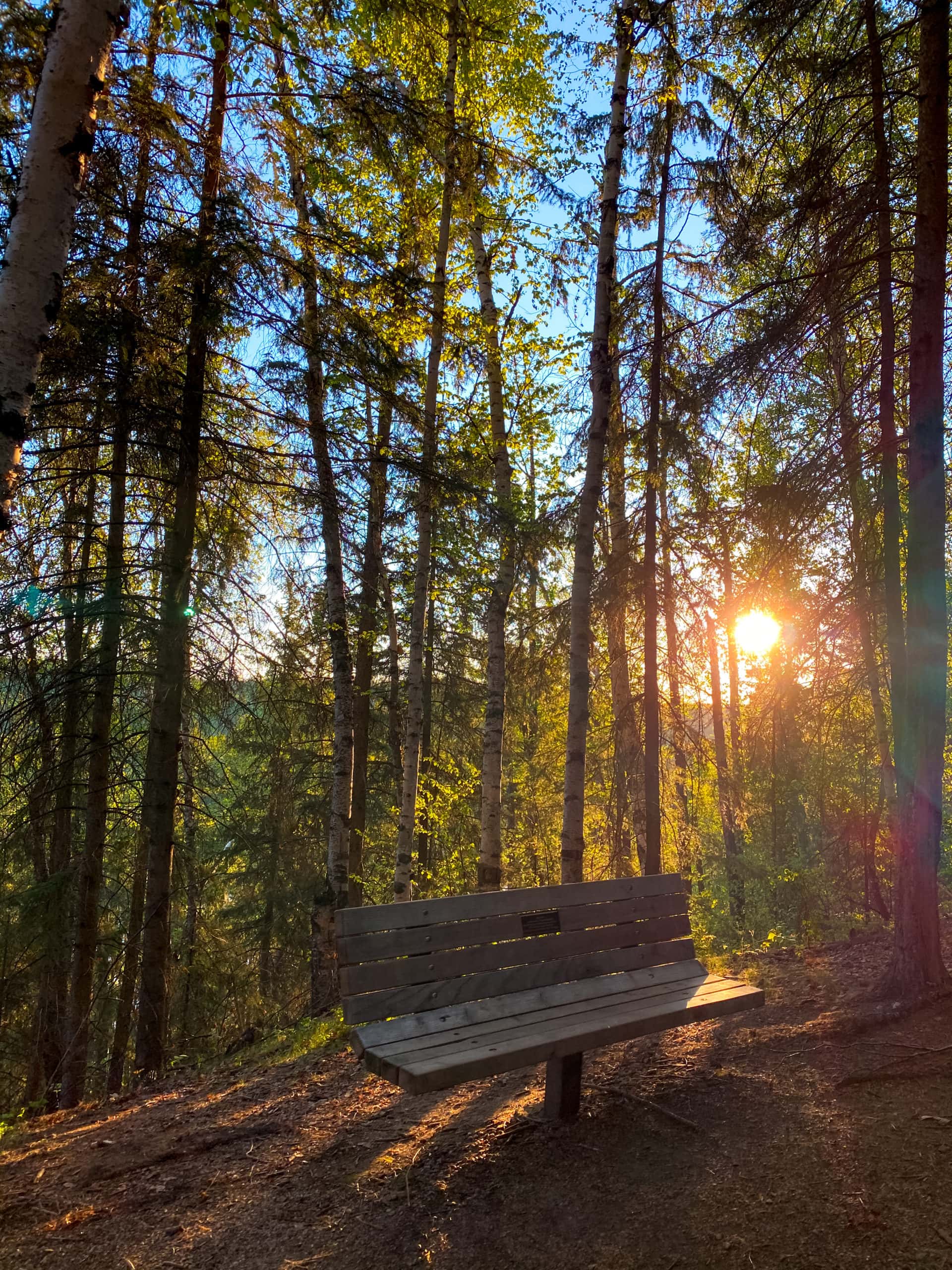Devon River Valley Trail - Voyageur Park