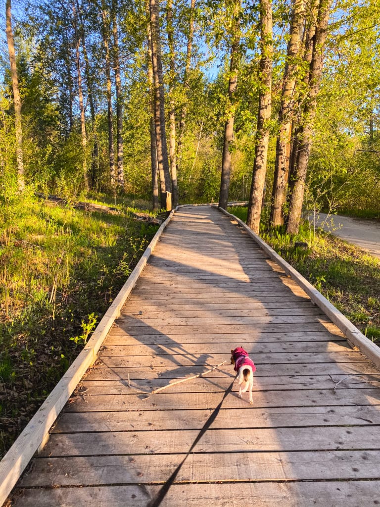 Devon River Valley Trail - Voyageur Park