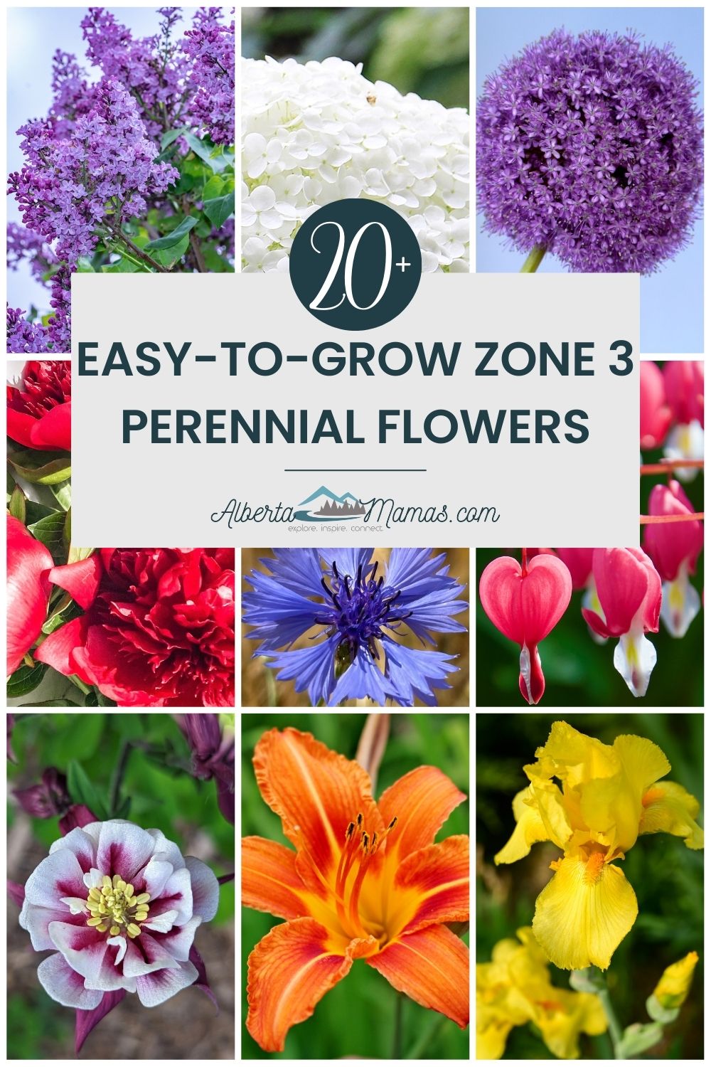 35+ Flowering Perennials for Zone 3a (Edmonton and Calgary, Alberta)