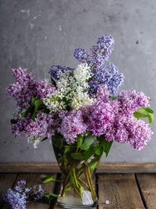 40 Shade Loving Perennials for Zone 3a (with Photos!)