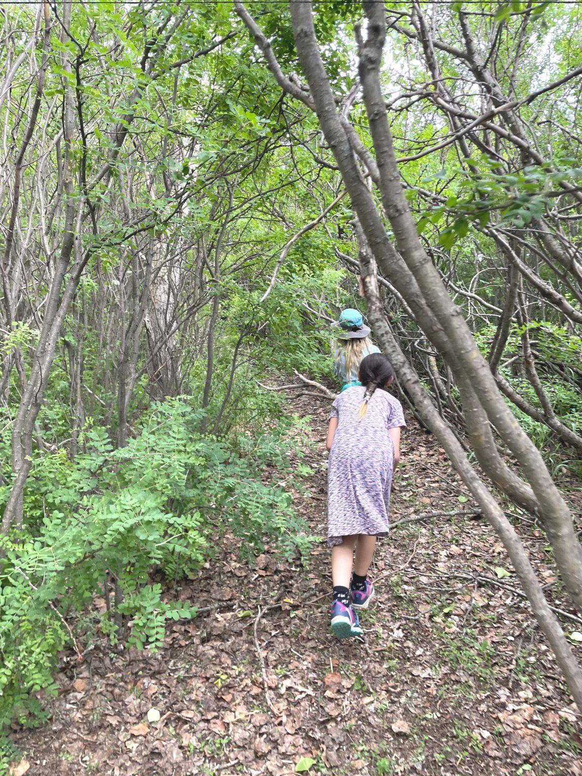 Stay in a Hillside Burrow in Three Hills with Good Knights