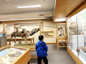 Where to Find Dinosaurs in Alberta, Canada